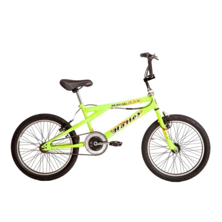 Bicicleta Halley Freestyle R20 Bmx 48 Rayos – Casa Belgrano